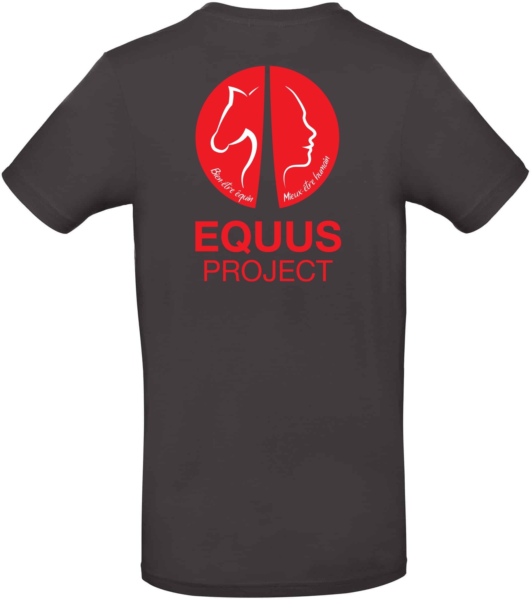 Accueil | Equus Project